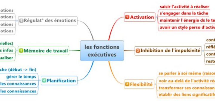 fonctions executives-720×340 | Dyspraxie France Dys